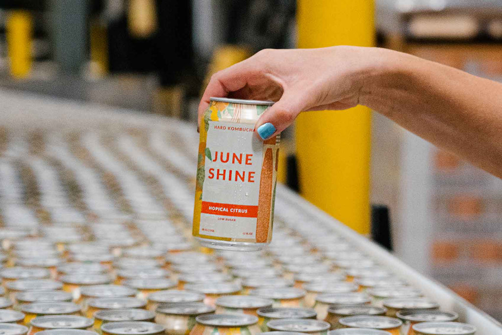 Cascade Hops: Complete Flavor and Aroma Profile | Juneshine – JuneShine